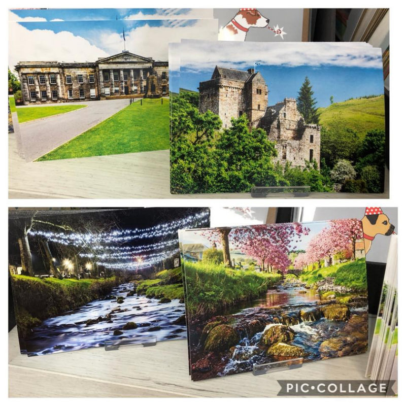 Dollar Postcard set of four – The Sorting Office Dollar